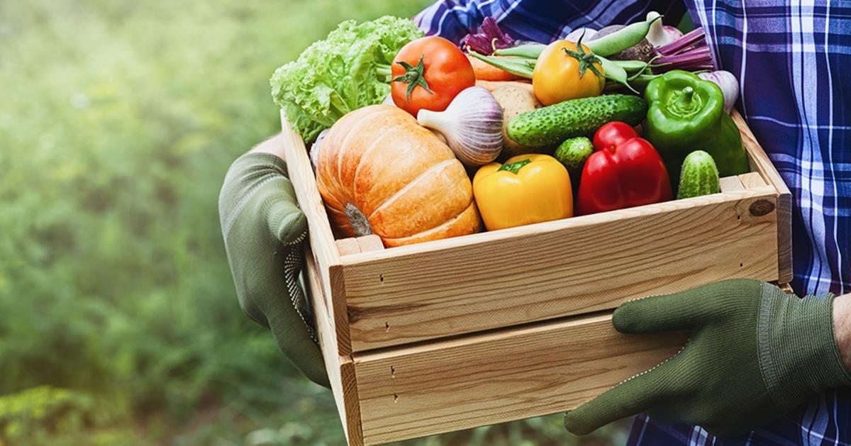CSA Vouchers Still Available From UK HR Health and Wellness | UKNow